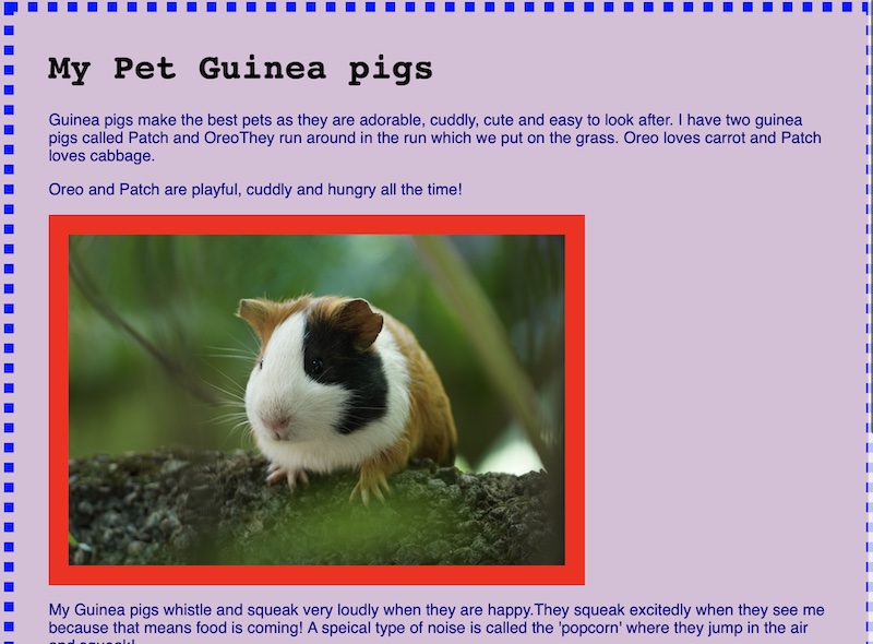Blog Codingbug 9391
